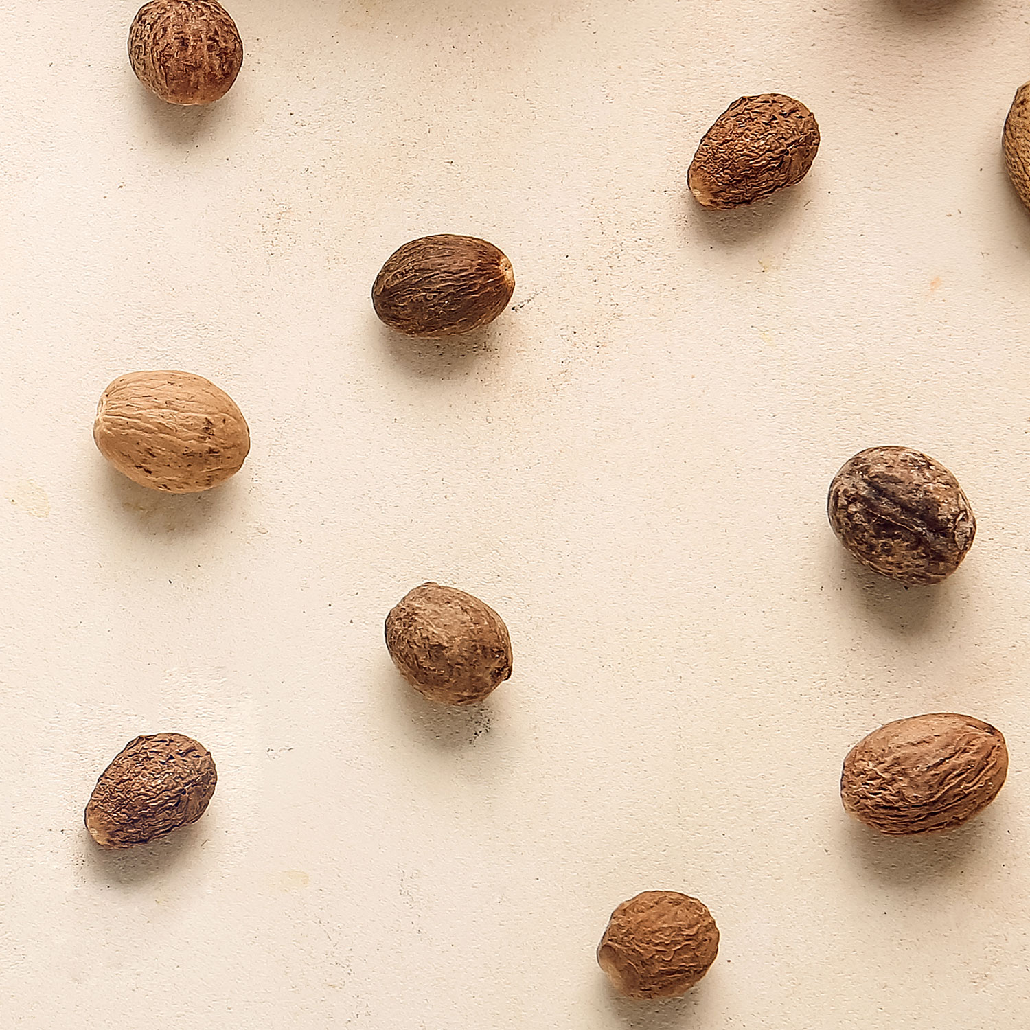 Crème Neutre BIO - Visage & Corps - Sans Parfum - Peaux sensibles - Avril