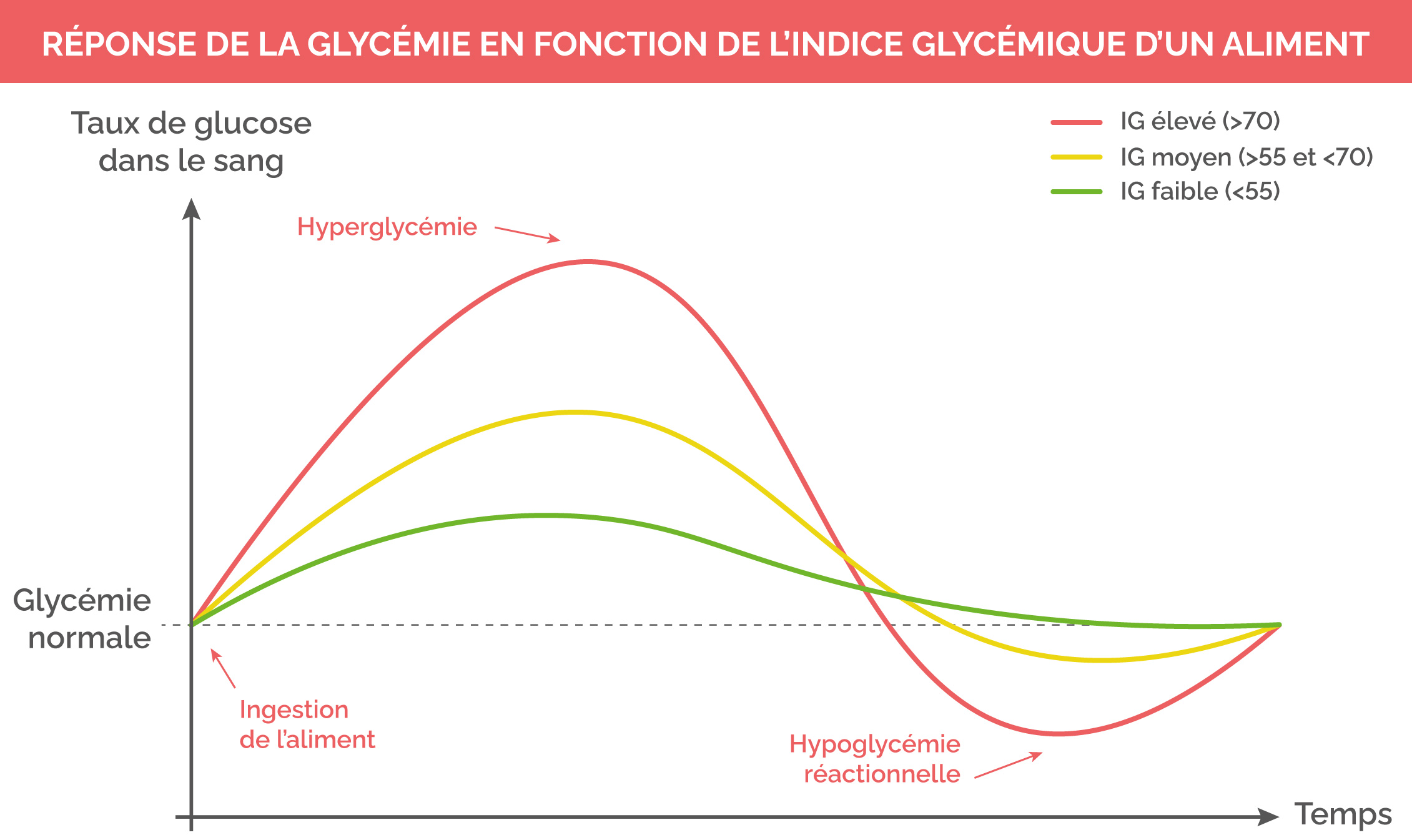 Indice glycémique : définition et classement des aliments