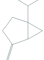 Le Sabinène dans les huiles essentielles