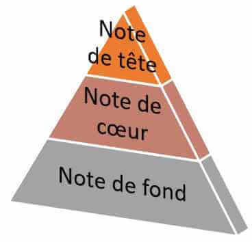 Créer son propre parfum avec les huiles essentielles